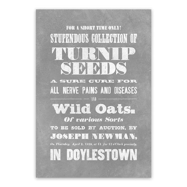 Stupendous Collection of Turnip Seeds: A Vintage Mashups Print - Kite